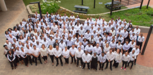 About Us - Feenstra Group